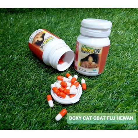 Jual Obat Flu Kucing Doxy Cat 1 Capsul DoxyCat Doxi Cat Shopee Indonesia