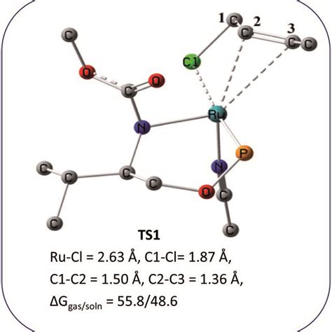 Geometries Of The Transition State Ts1 For The Enantioselective