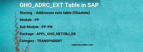 Ghoadrcext Sap Table For Addresses Extn Table Obselete