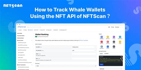 Nftscan And Cross Blockchain Data Aggregation A Glimpse Into Seamless Multi Chain Nft