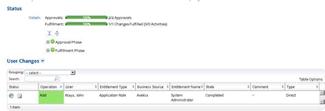 How To Grant Administrator Access To A User In Rsa Via Lifecycle And