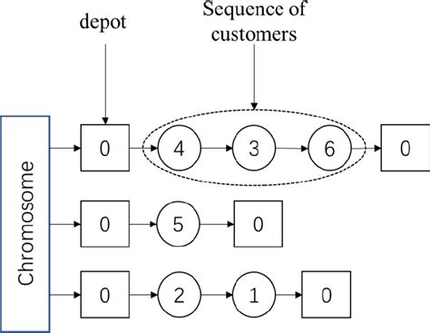 Variable‐length Chromosome Representation Download Scientific Diagram