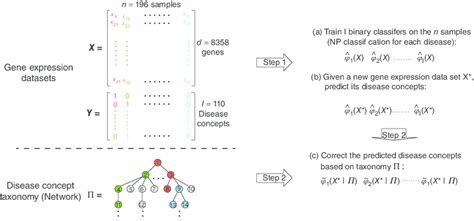 Automatic Disease Diagnosis Via Np Classification And Download