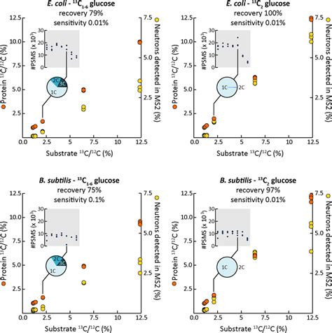 The Number Of Labeled Atoms Per Substrate Molecule Impacts The Ability Download Scientific