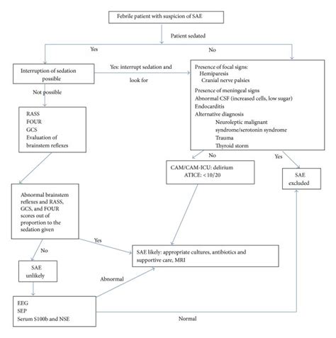 Algorithm For Diagnosis Of Sepsis Associated Encephalopathy Rass