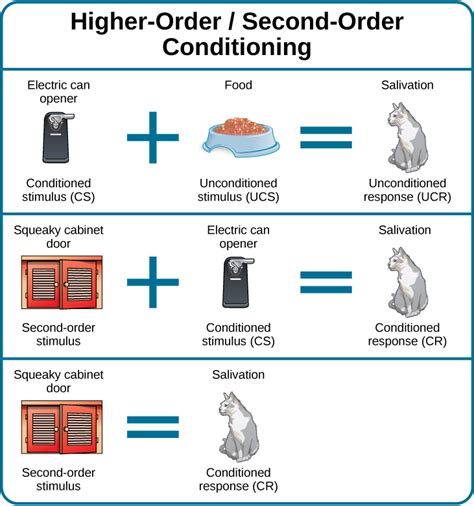 6 3 Classical Conditioning Social Sci Libretexts