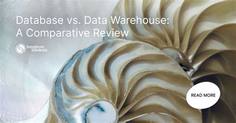 Database Vs Data Warehouse A Comparative Review Symphony Solutions