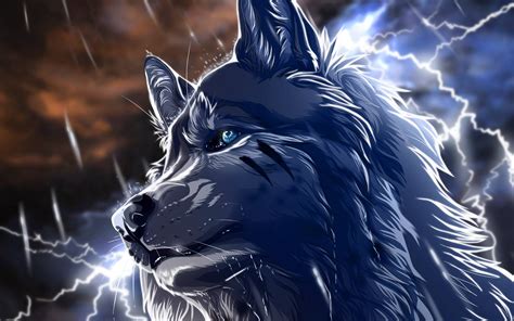 Anime Wolf Wallpapers Wallpaper Cave