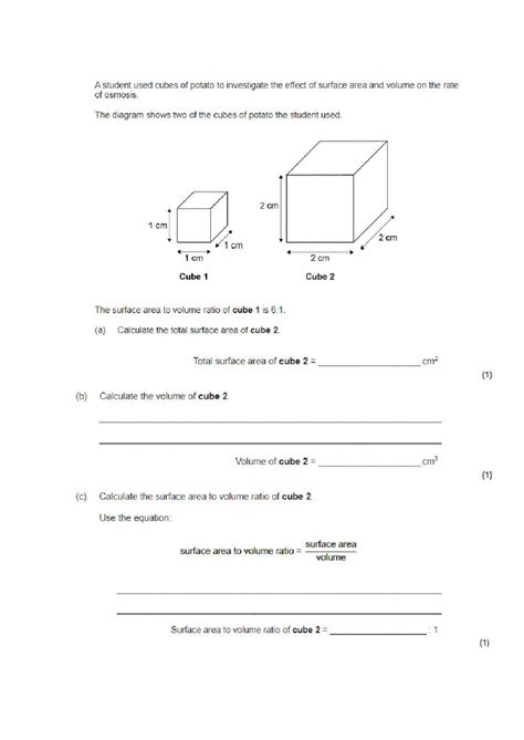 Surface Area To Volume Ratio Practicedoc Activity Surface