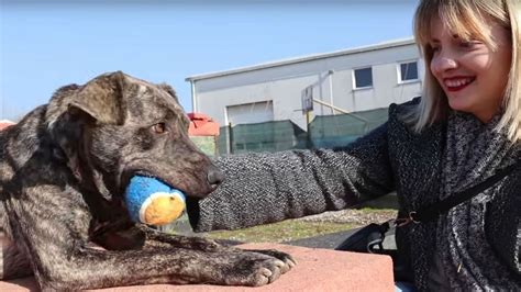 Bravo Matea Pomoći Spasiti Nečiji život Ima Li Bolje Plaće Na