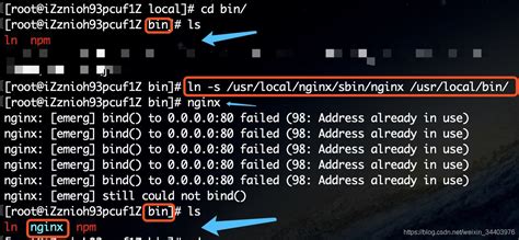 Linux将 Nginx 添加到全局变量中（环境变量）linux 设置nginx全局快捷 Csdn博客