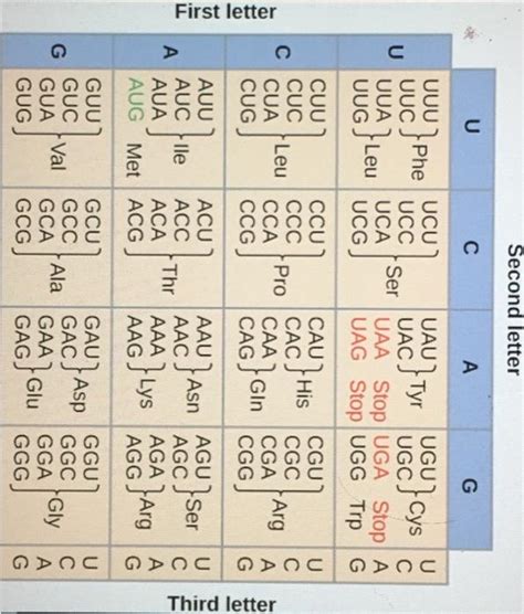 Solved Please Classify The Mutations In The Following