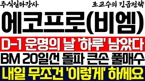 에코프로 에코프로비엠 조교수 D 1 운명의 날 이제 하루 남았다 Bm 20일선 돌파 큰손 풀매수 내일 무조건 이렇게