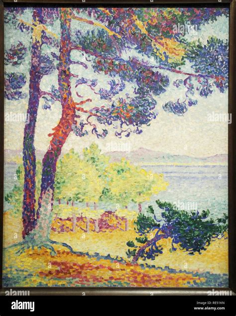 Afternoon At Pardigon Var 1907 Henri Edmond Cross 2016 Ccbb São