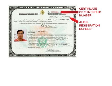 Certificate Of Citizenship Pdf