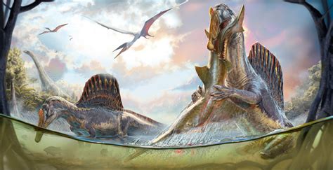 This Colossus Was A Heron From Hell” New Research Unravels Secrets