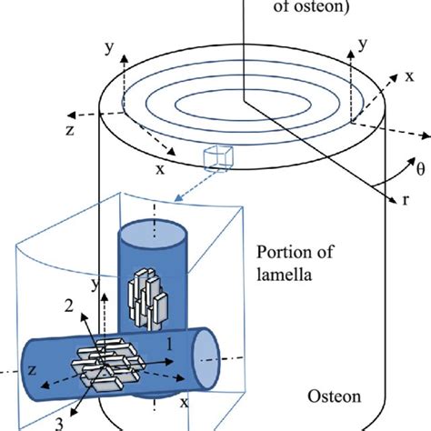 Coordinate System Scheme Cylindrical Coordinate System R θ Z Is Download Scientific