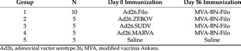 Study Design Of Long Term Immunogenicity Download Scientific Diagram
