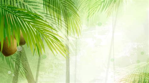 Coconut Leaf Wallpapers Top Free Coconut Leaf Backgrounds Wallpaperaccess