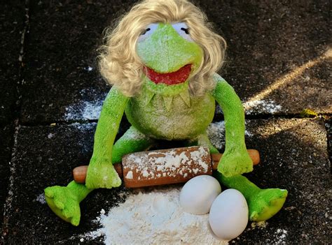 500 Free Kermit And Frog Images Pixabay
