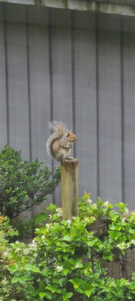 Cute Trouble Rgardening