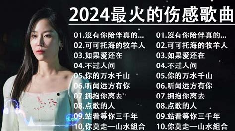 2024中国大陸流行歌曲 不能不听的50首精选歌 【可可托海的牧羊人 你的万水千山 红尘情歌 酒醉的蝴蝶 等你等了那么久 我的快樂就是想你陳雅森演唱 想你的时候问月亮 梅