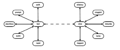 Example Of Tree Of Synonyms And Antonyms In Wordnet Full Arrow Download Scientific Diagram