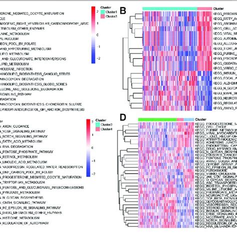 Gsva Analysis In Different Molecular Subtypes Of Sepsis A
