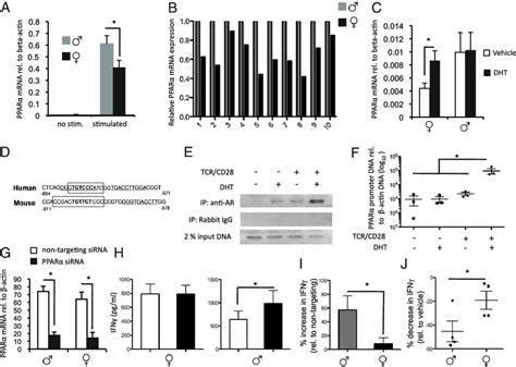 Pparα Has A Sex Specific Role In Inhibiting Th1 Cytokine Production By