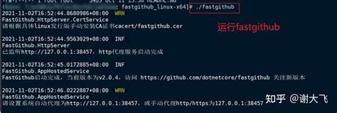 Fastgithub下载及使用 知乎