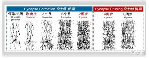 赫布理论（hebbian Theory），或者联合学习（associative Learning）的实际应用情景？ 求举例说明。 知乎