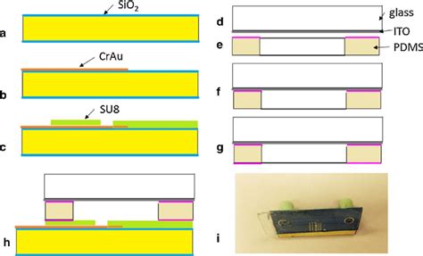 Main Steps Of The Fabrication Process Of The Microfluidic Chip With Download Scientific Diagram