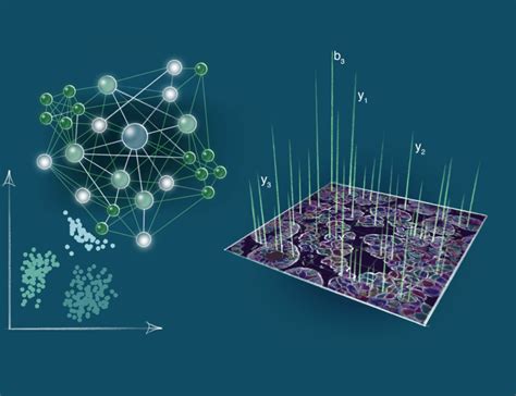 Omicvision Pioneering Spatial Proteomics To Transform Precision Medicine