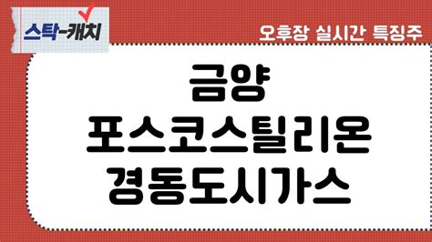 민노총 탈퇴에 급등 지속 포스코스틸리온 금양 경동도시가스 오후장 실시간 특징주 스탁 캐치 Youtube