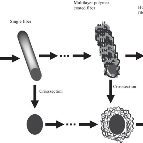 Schematic Diagram Illustrating The Fabrication Of Hollow Multilayer Download Scientific Diagram
