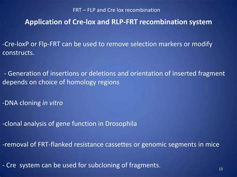 Recombinase Cre Lox And Flp Frt Ppt Chemistry Science