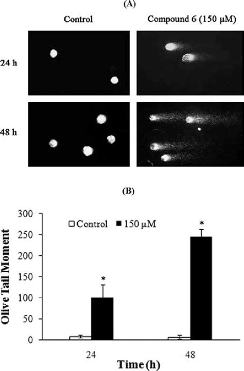 Compound 6 Induces Dna Strand Breaks In Hela Cells A Dna Download Scientific Diagram