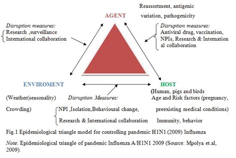 Social And Behavioral Epidemiology Aspect Of H1n1 3072 Words Term Paper Example Social And Behavioral Epidemiology Aspect Of H1n1 3072 Words Term Paper Example