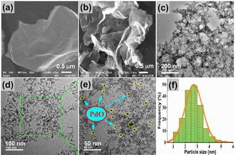 a sem micrograph of go b sem micrograph of pgo nh 2 pdo c e