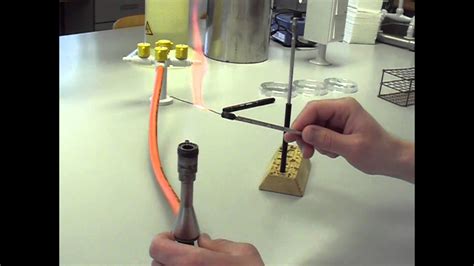 inoculating loop laboratory technique öse YouTube