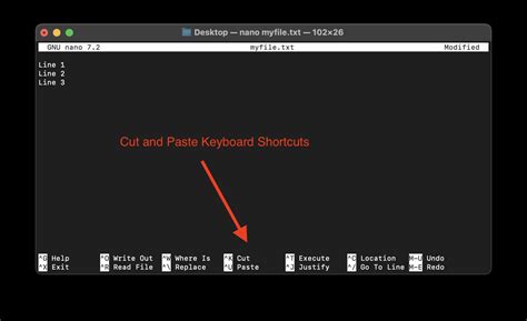 How To Perform Cut Paste Operations In Nano Editor Code Care