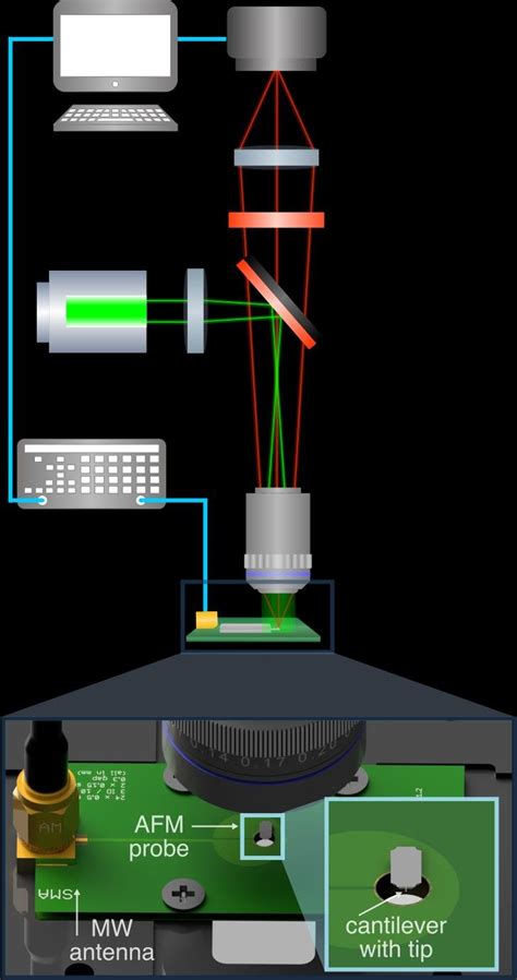 Experimental Apparatus For Wide Field Fluorescence Microscopy And Odmr Download Scientific