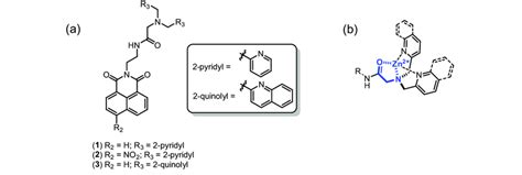 a chemical structures of chemosensors 1 3 b anticipated high