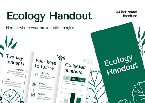 Ecology Handout Google Slides PowerPoint