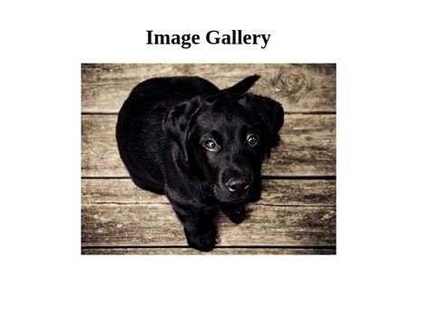 How To Build An Image Carousel Using Svelte