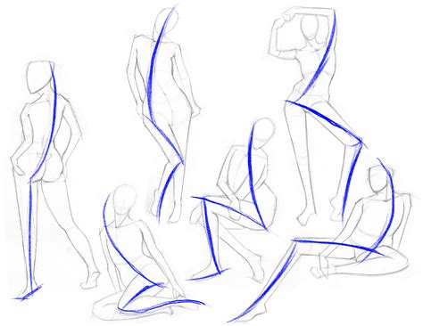 Line Of Action Drawing For Beginners Guide Examples