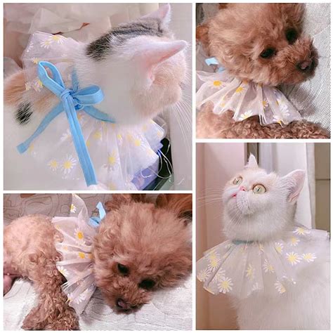 Badu Bg Малка котка Куче Аксесоари Кученце Бебе Животни Лигавници Шал Кърпичка Сладки