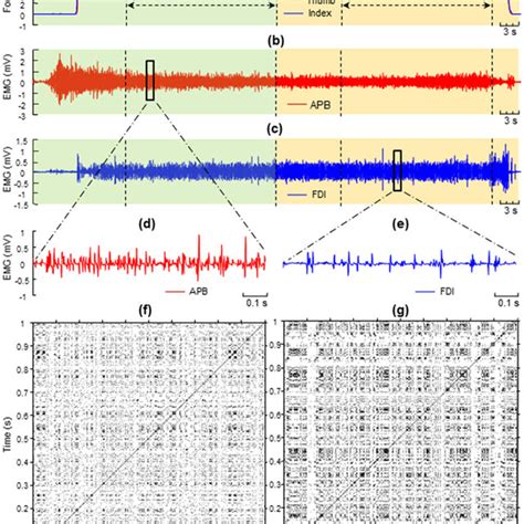 forces semg signals and recurrence plots from one representative