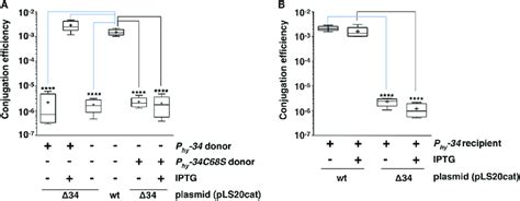 effects of ectopic expression of the wild type or the 34c68s mutated