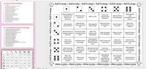Jc Science Roll It Recap By Topic Pdf Lesson Plans